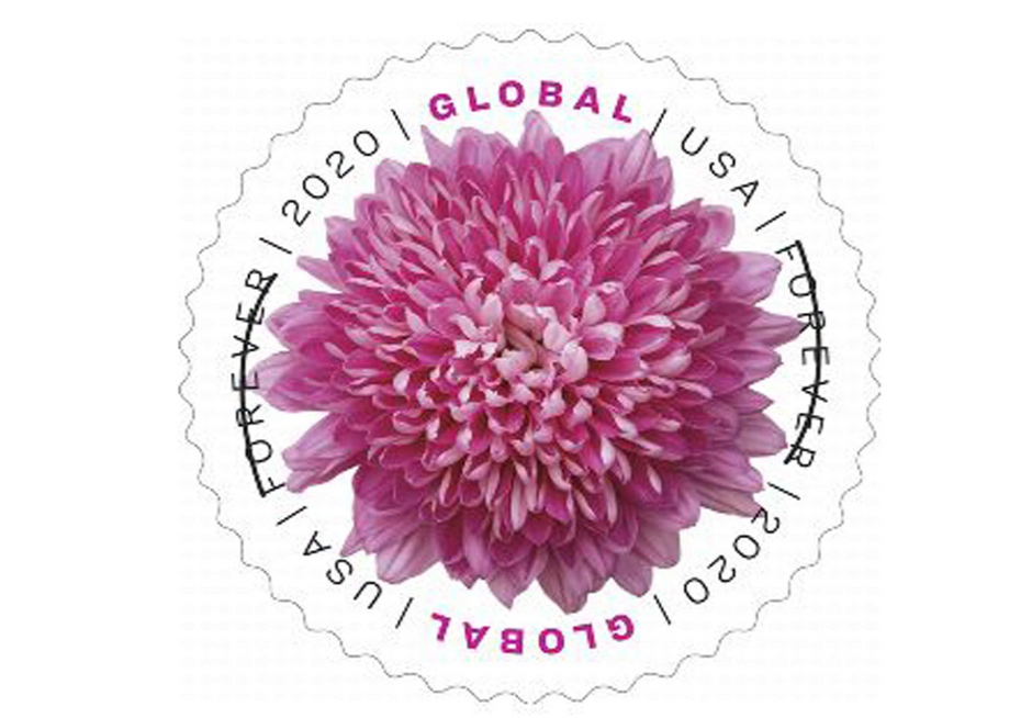 Forever Global – STAMPS.DEALS